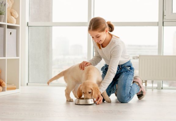 Каким кормом кормить щенка 🐶 - ProPlan.ru